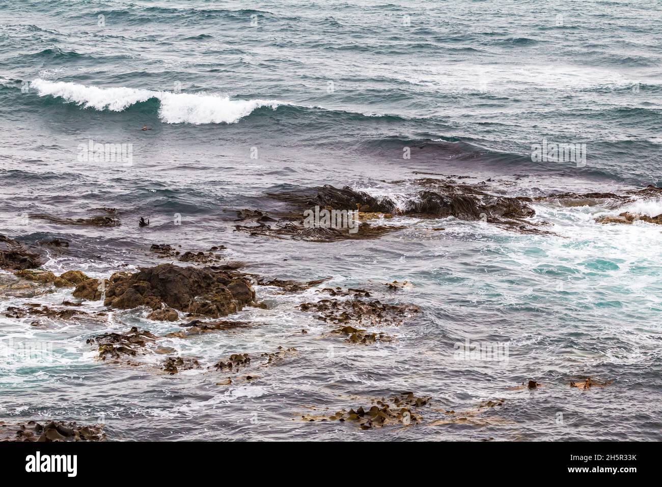 Waves new zealand hi-res stock photography and images - Alamy