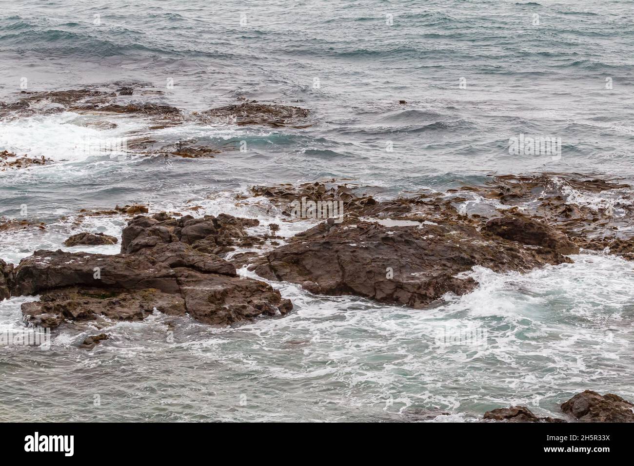 Rocky Pacific coast near Katiki point. New Zealand Stock Photo - Alamy