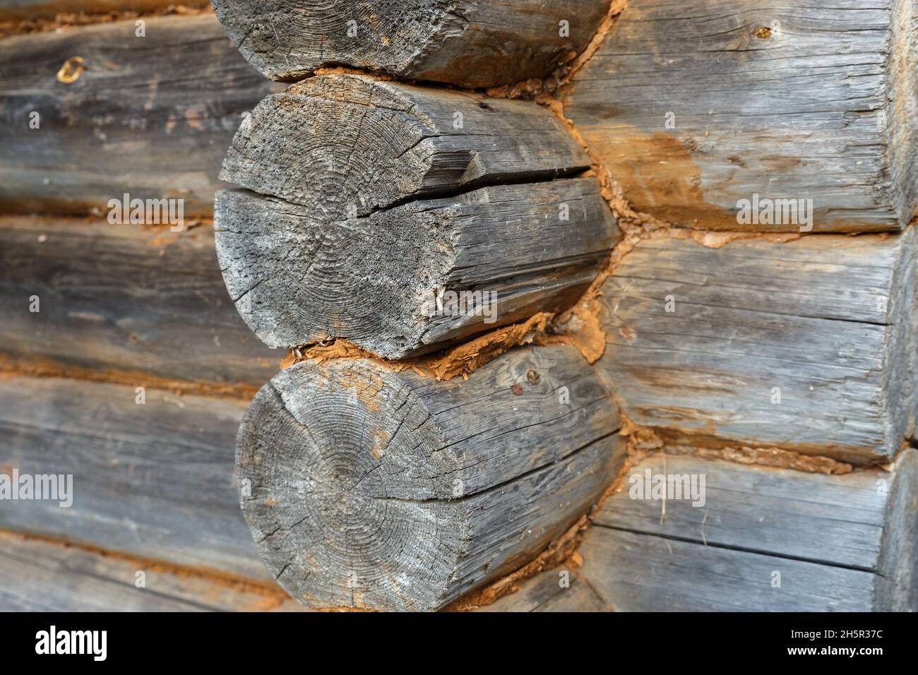 Corner of a log cabin hi-res stock photography and images - Alamy