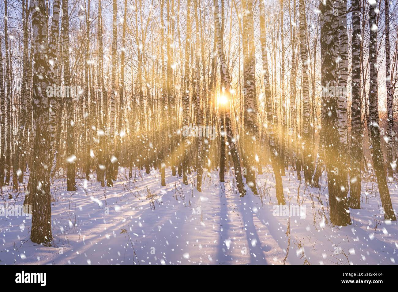 Sunray passing through hi-res stock photography and images - Alamy