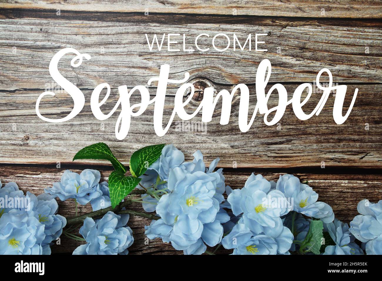 Welcome September