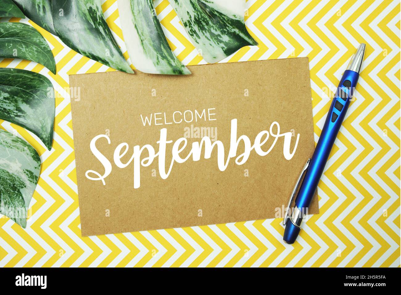 Welcome label background paper hi-res stock photography and images - Alamy