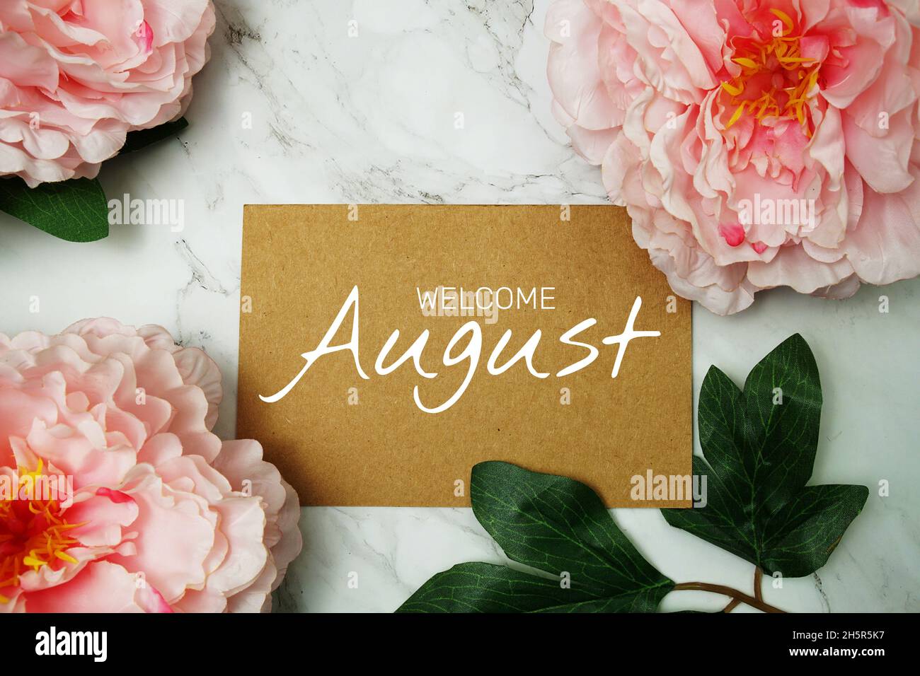 Welcome August typography text with peony flowers on marble background ...