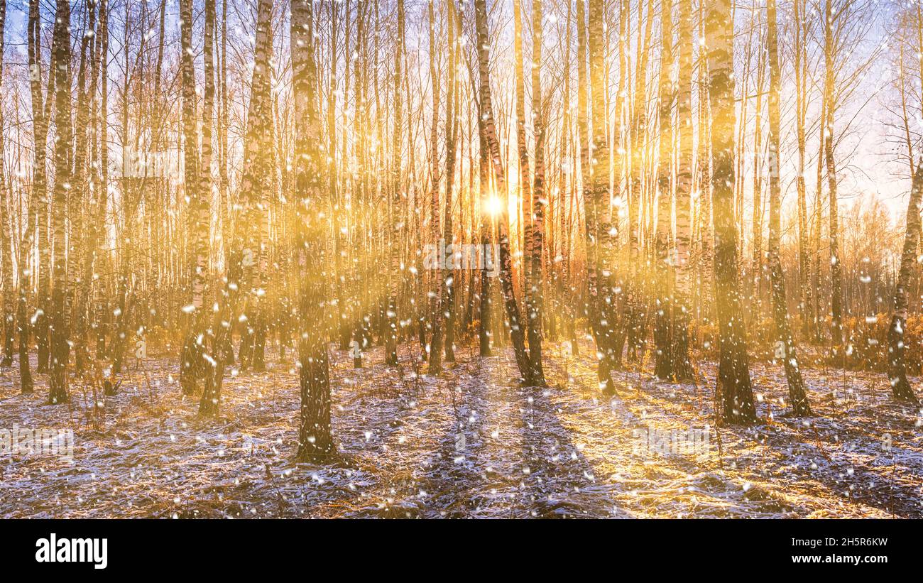 Sunray passing through hi-res stock photography and images - Alamy
