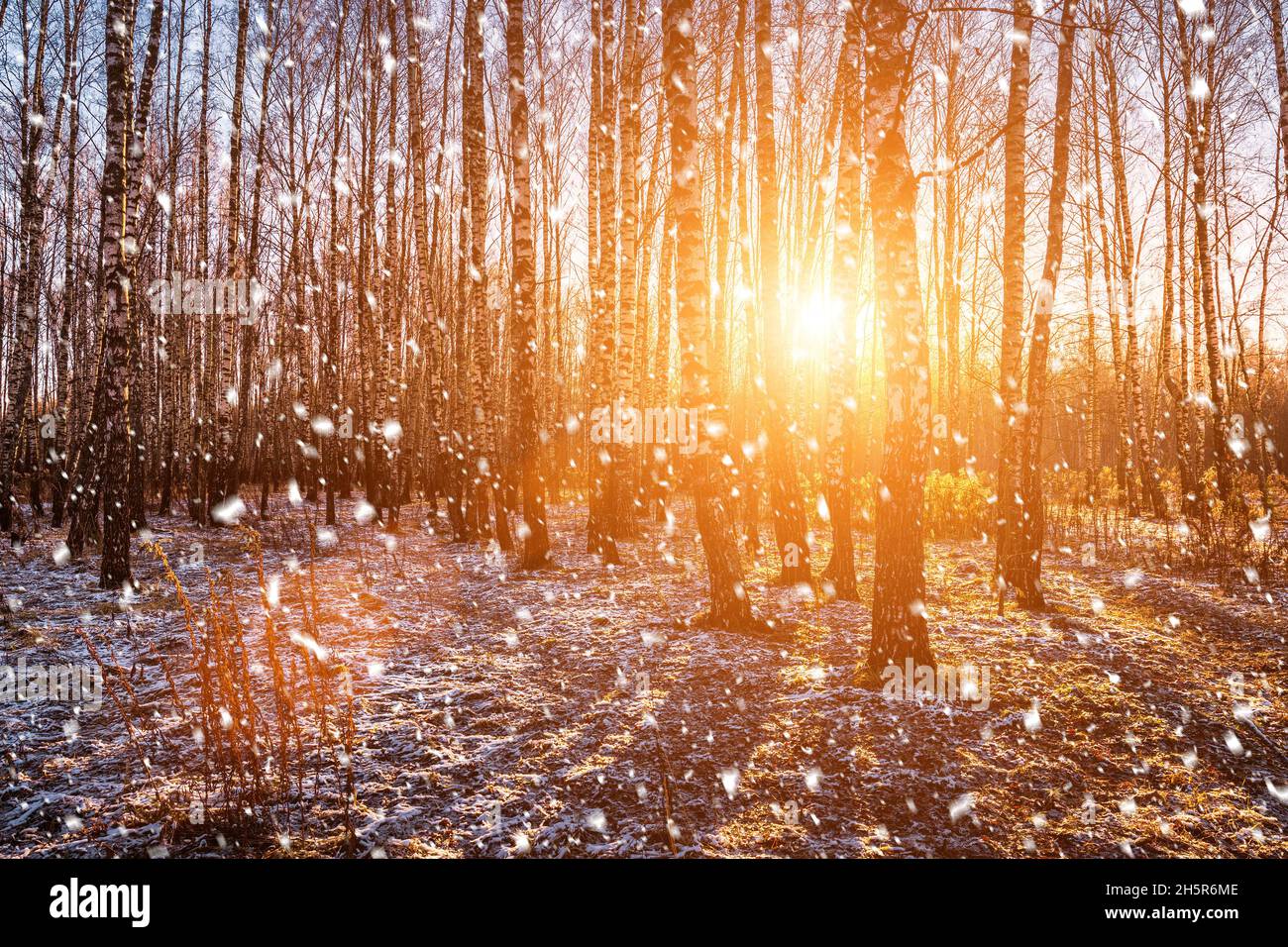 Sunray passing through hi-res stock photography and images - Alamy