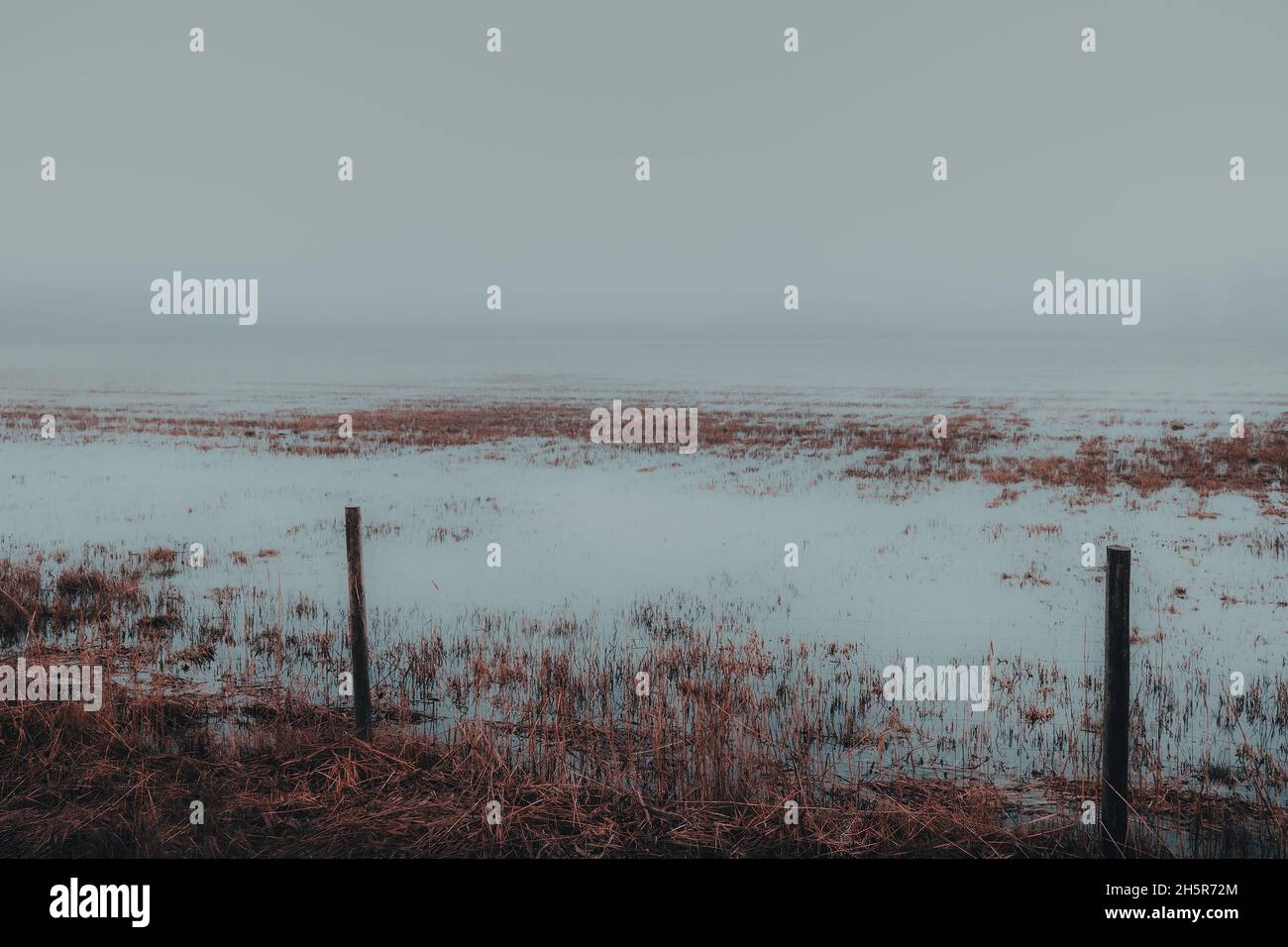 Field flooded with water. November mood. Natural disasters in ...