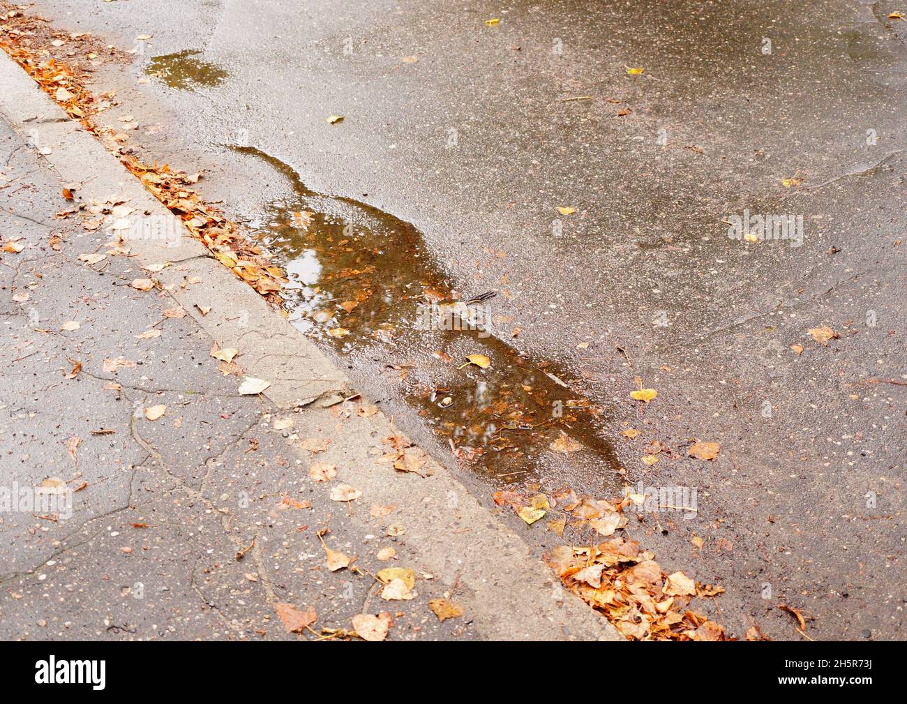 Water puddle with leaves on the sidewalk Stock Photo - Alamy
