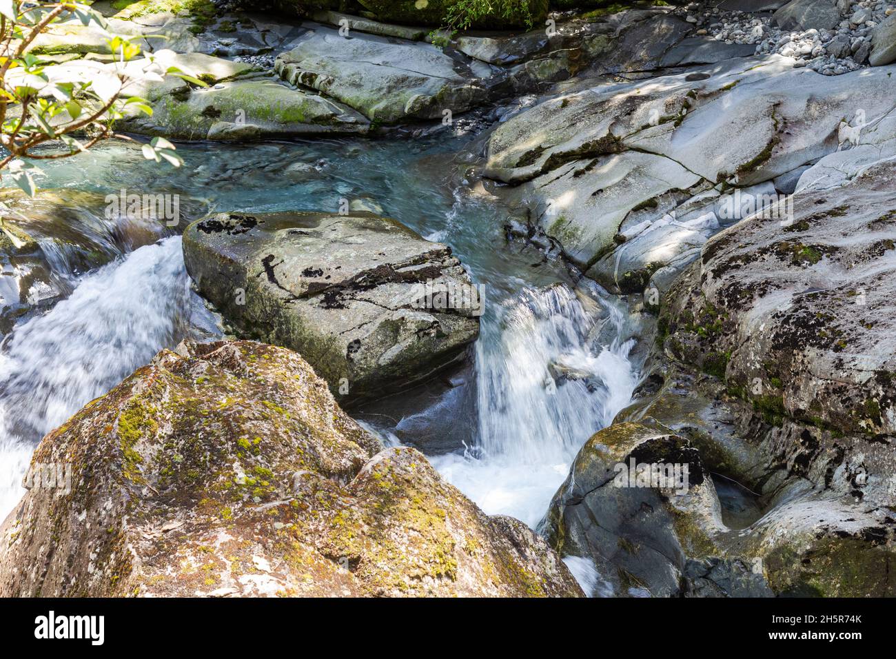 The Chasm Viewing Bridge. South Island, New Zealand Stock Photo - Alamy