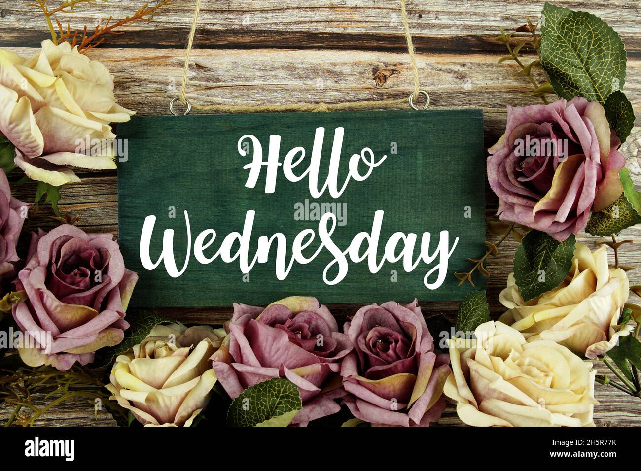 Hello Wednesday typography text with pink roses flowers bouquet on ...