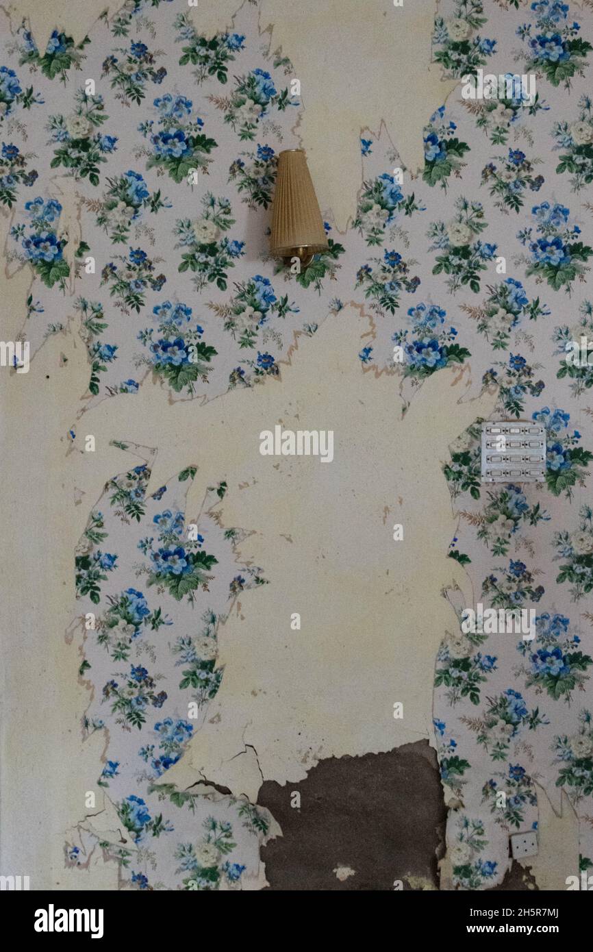 Vertical closeup of old dilapidated floral textured wallpapers on a ...