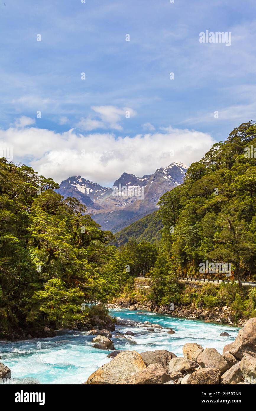 Landscape with rapid river near Pop's View lookout. Fiordland. South ...