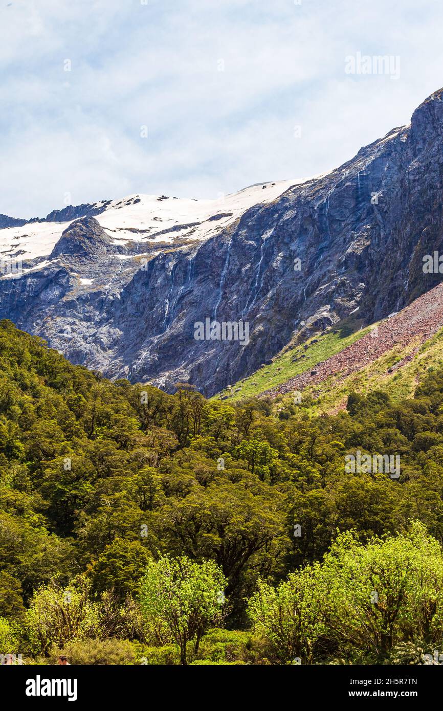 Wooded valley between snow-capped mountains and hills of the South ...