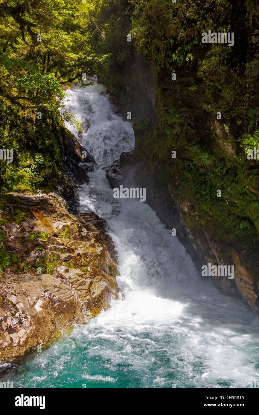 Fast river in middle forest hi-res stock photography and images - Alamy
