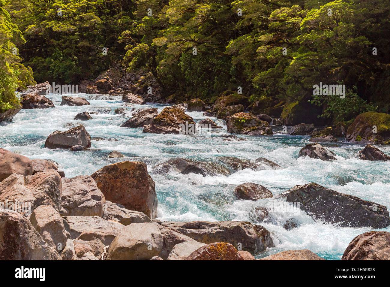 Stormy river near Pop's View lookout. Fiordland national park. South ...