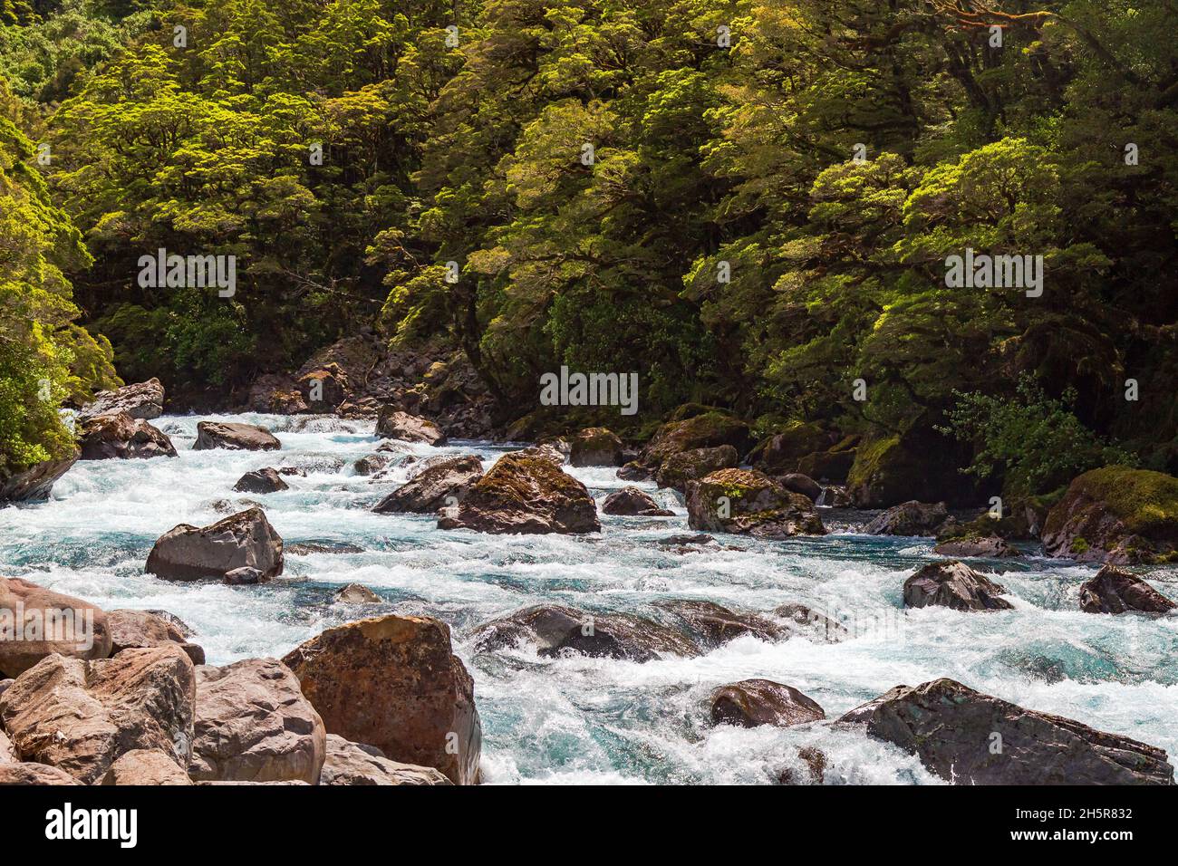 A fast river near Pop's View lookout. Fiordland national park. New ...