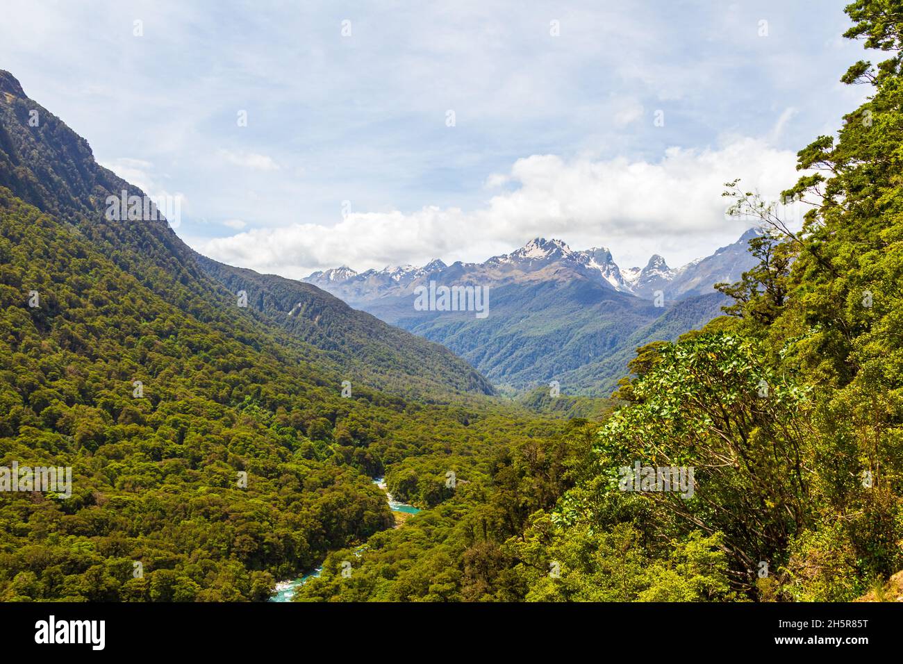The pop's view lookout to the forest and the river. Fiordland National ...