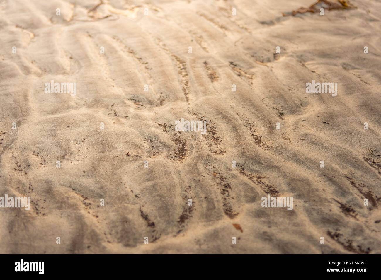 Beautiful horizontal background image of a sand beach texture near ...