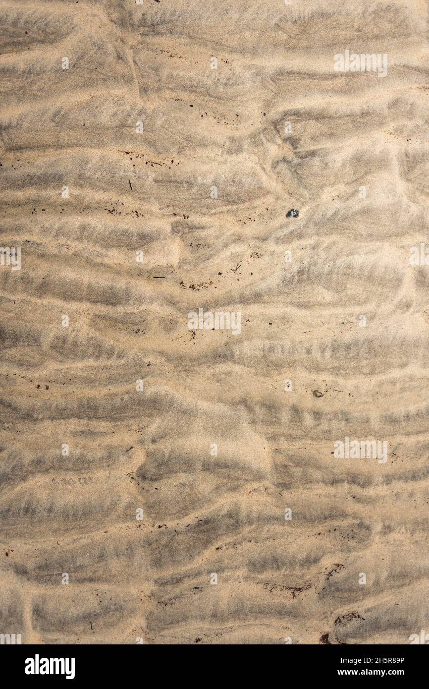 Beautiful vertical background image of a sand beach texture near ...
