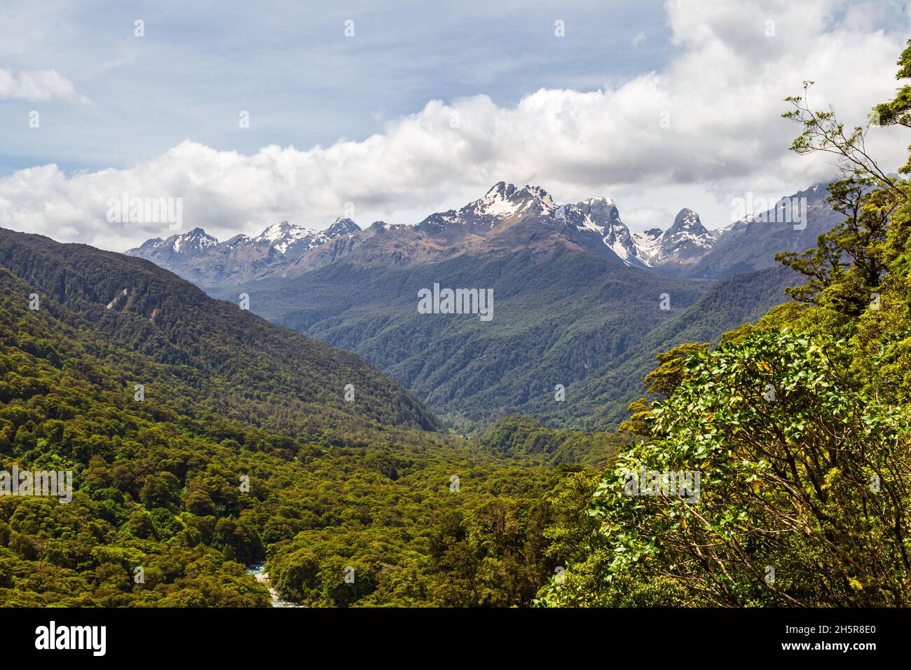 Pop's view lookout. Landscapes of Fiordland National Park. New Zealand ...