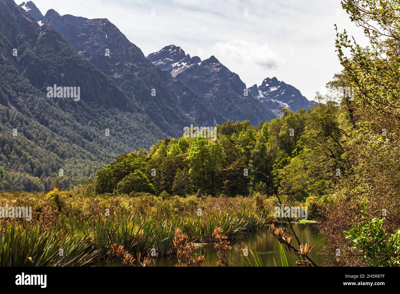 Small lakes of New Zealand. The shoreline of Lake Mirror. South Island ...