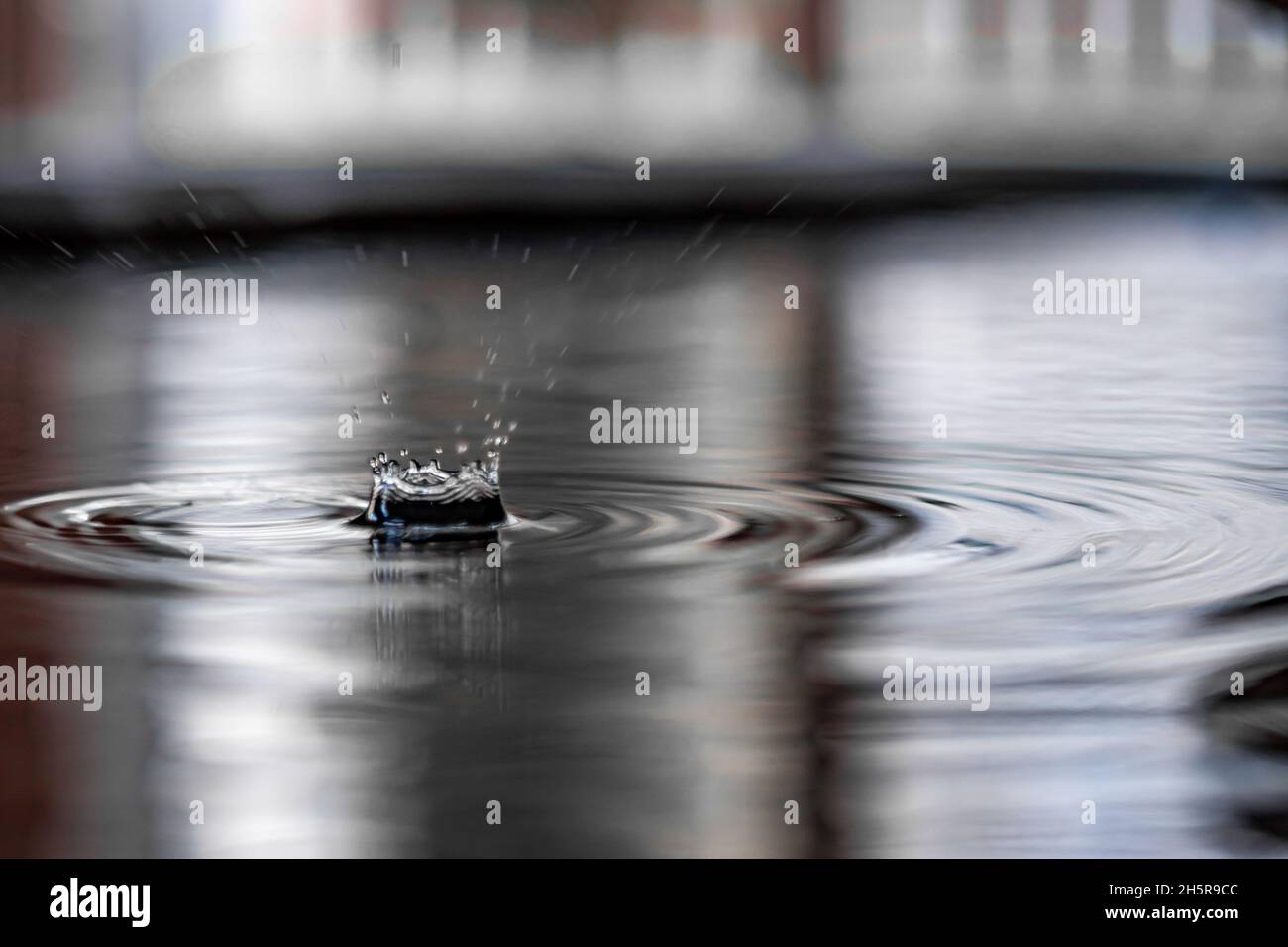 Closeup of a splash of water in the puddle Stock Photo - Alamy