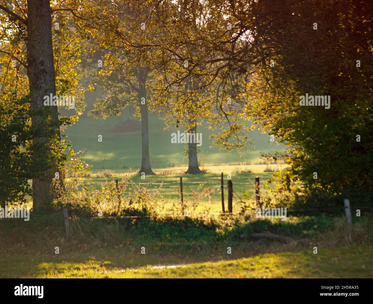 Rural scene in normandy hi-res stock photography and images - Alamy