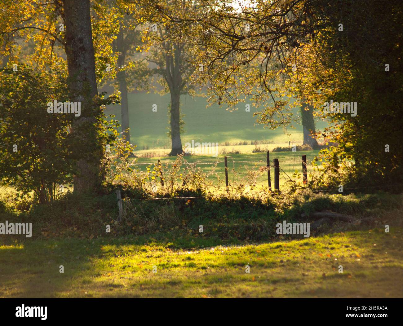Rural scene in normandy hi-res stock photography and images - Alamy