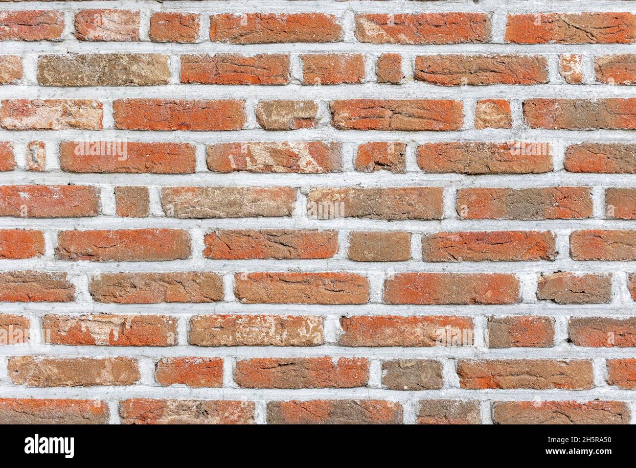 A texture portrait of a red brick masonry grout wall with cement. The ...