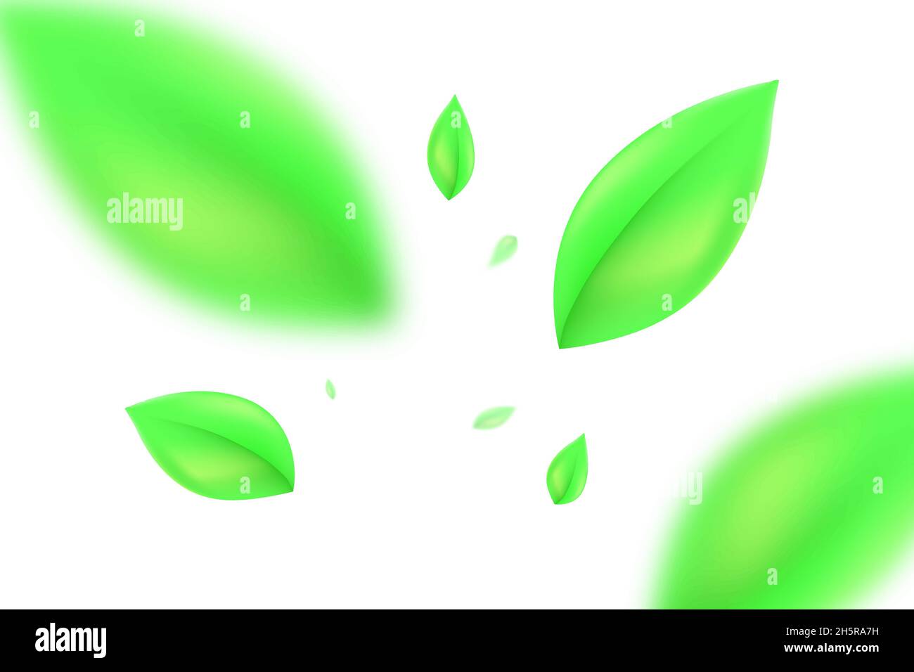 Green leaf background falling, realistic leafs wallpaper on white ...