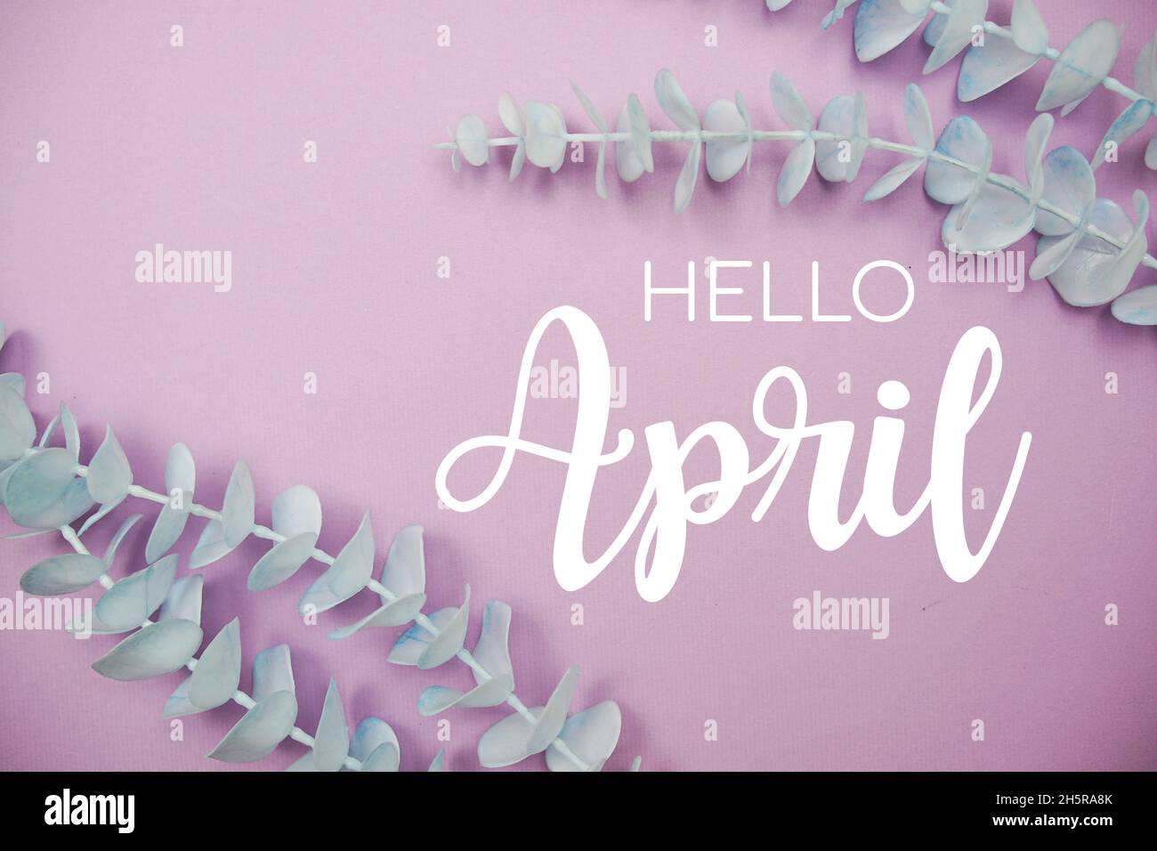 Hello April typography text decorate with eucalyptus on purple ...