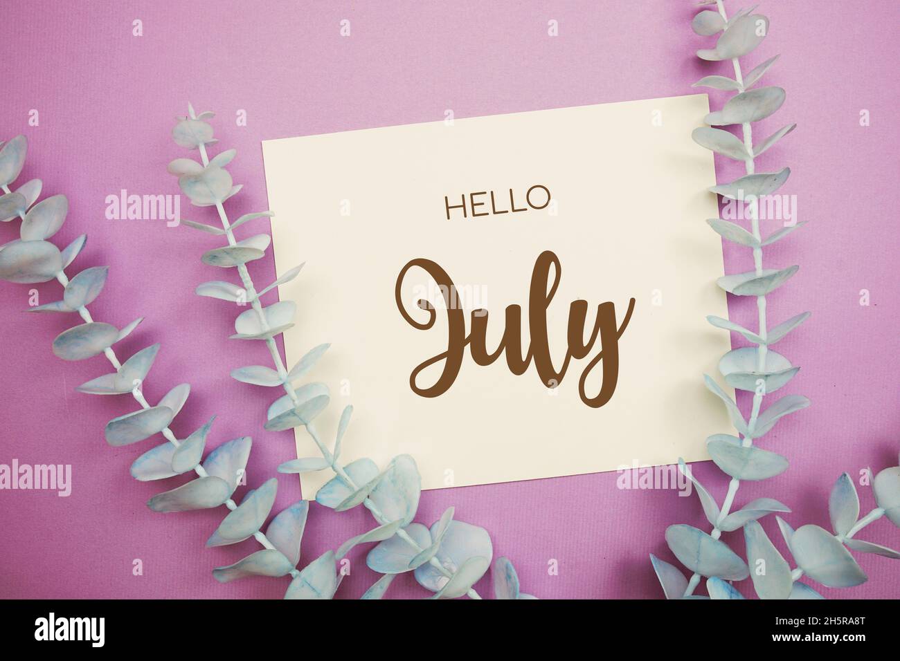 Hello July typography text on paper card decorate with eucalyptus on ...