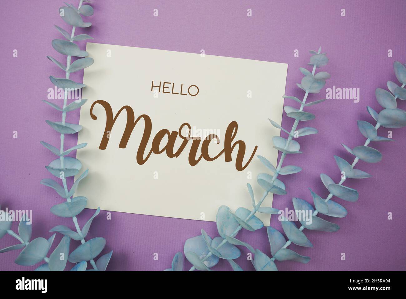 Hello March typography text on paper card decorate with eucalyptus on ...