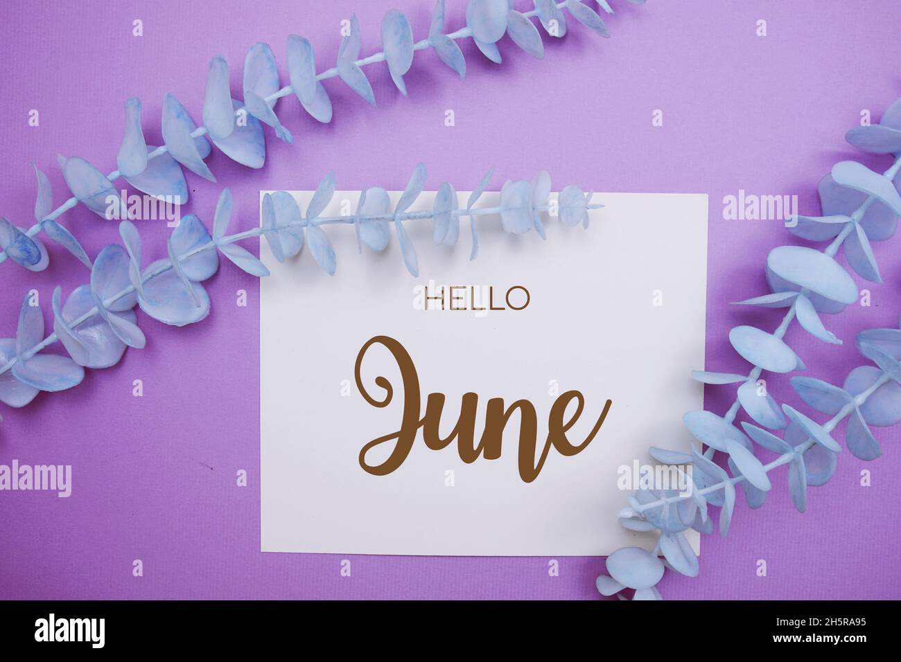 Hello June typography text on paper card decorate with eucalyptus on ...