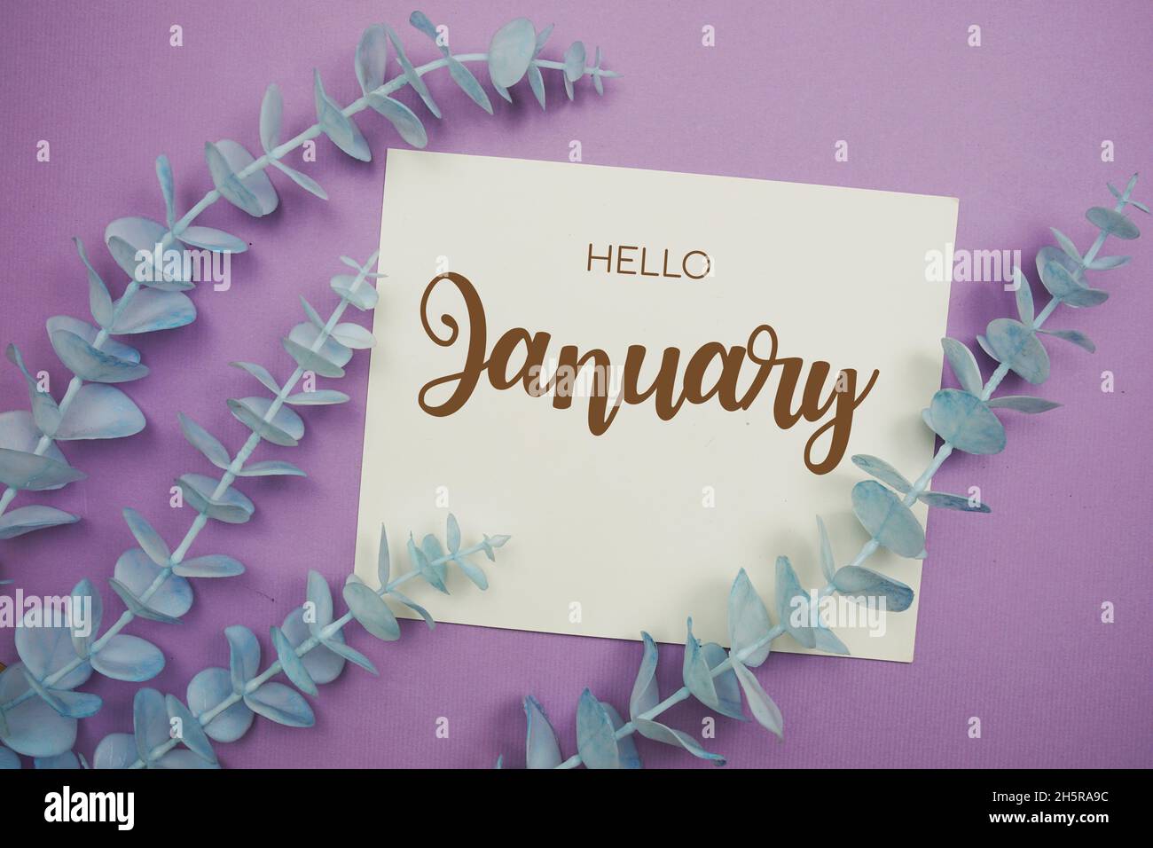 Hello January typography text on paper card decorate with eucalyptus on ...