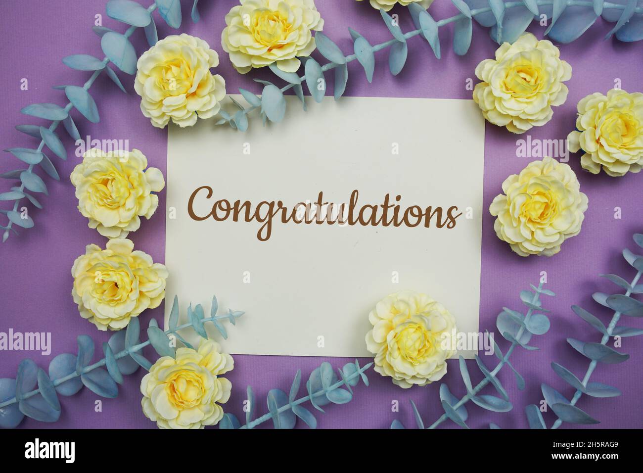 Congratulations typography text and flower decorate on purple ...