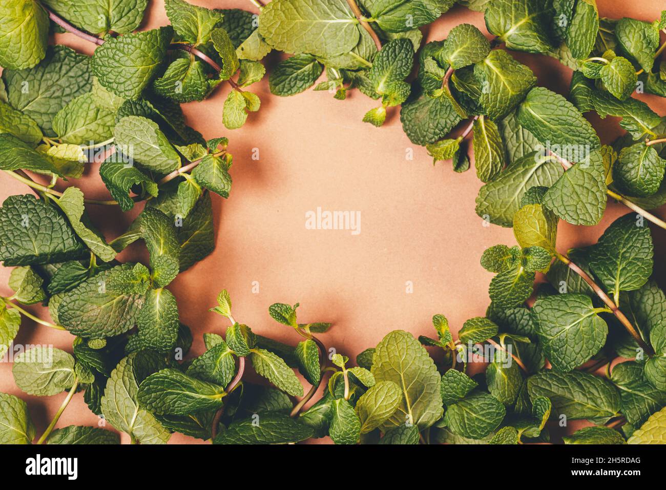 Organic fresh mint leaves on brown background with blank circle in ...