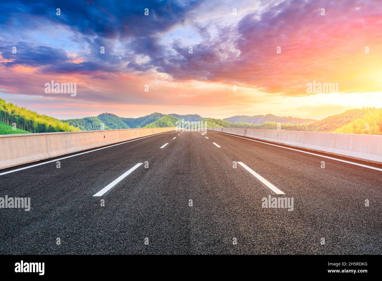 Country asphalt road and green tea plantation with bamboo forest ...