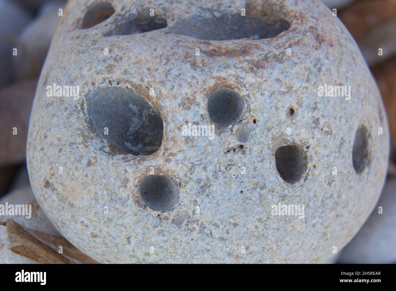 Close-up of stones eroded by seawater Stock Photo - Alamy