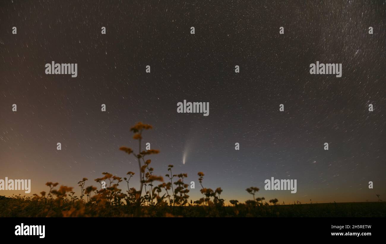Belarus. 18 July 2020. Comet Neowise C2020F3 In Night Starry Sky Above ...