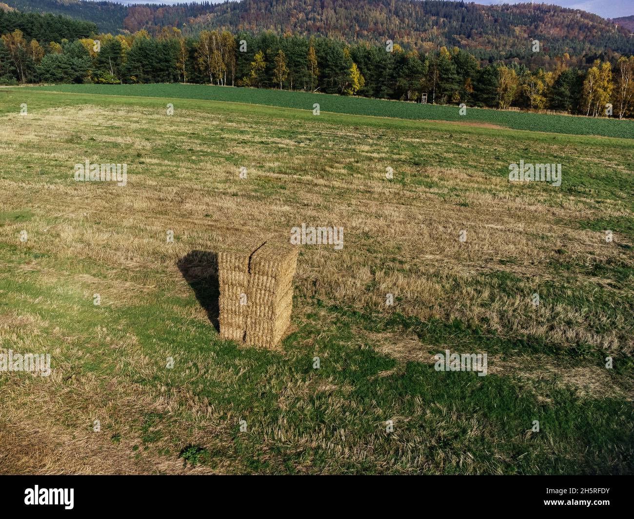 Top view of piled straw bales in farmland in Coburg Bavaria, Germany ...