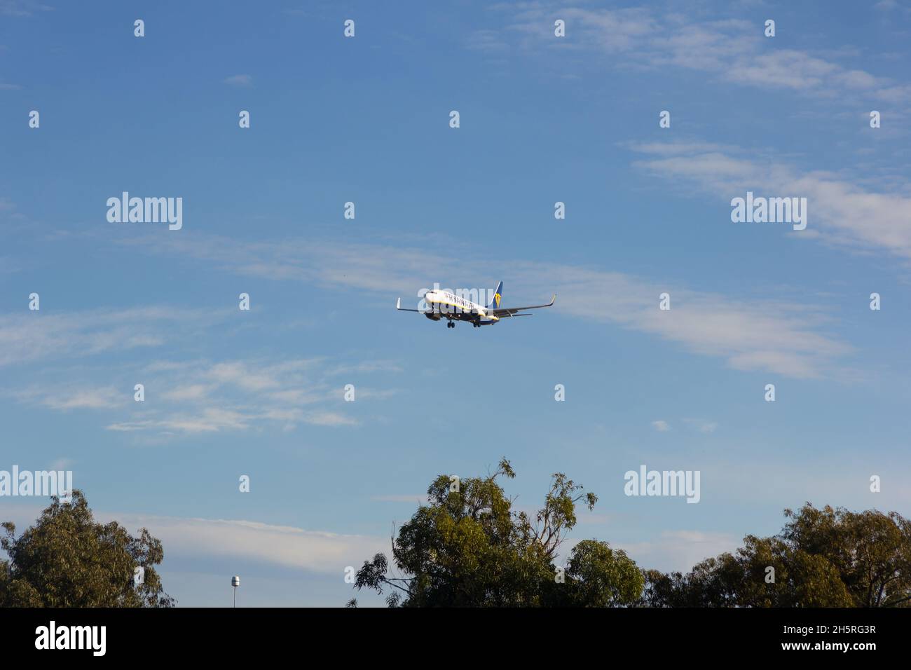 Aircraft arriving at the airport runway Stock Photo - Alamy