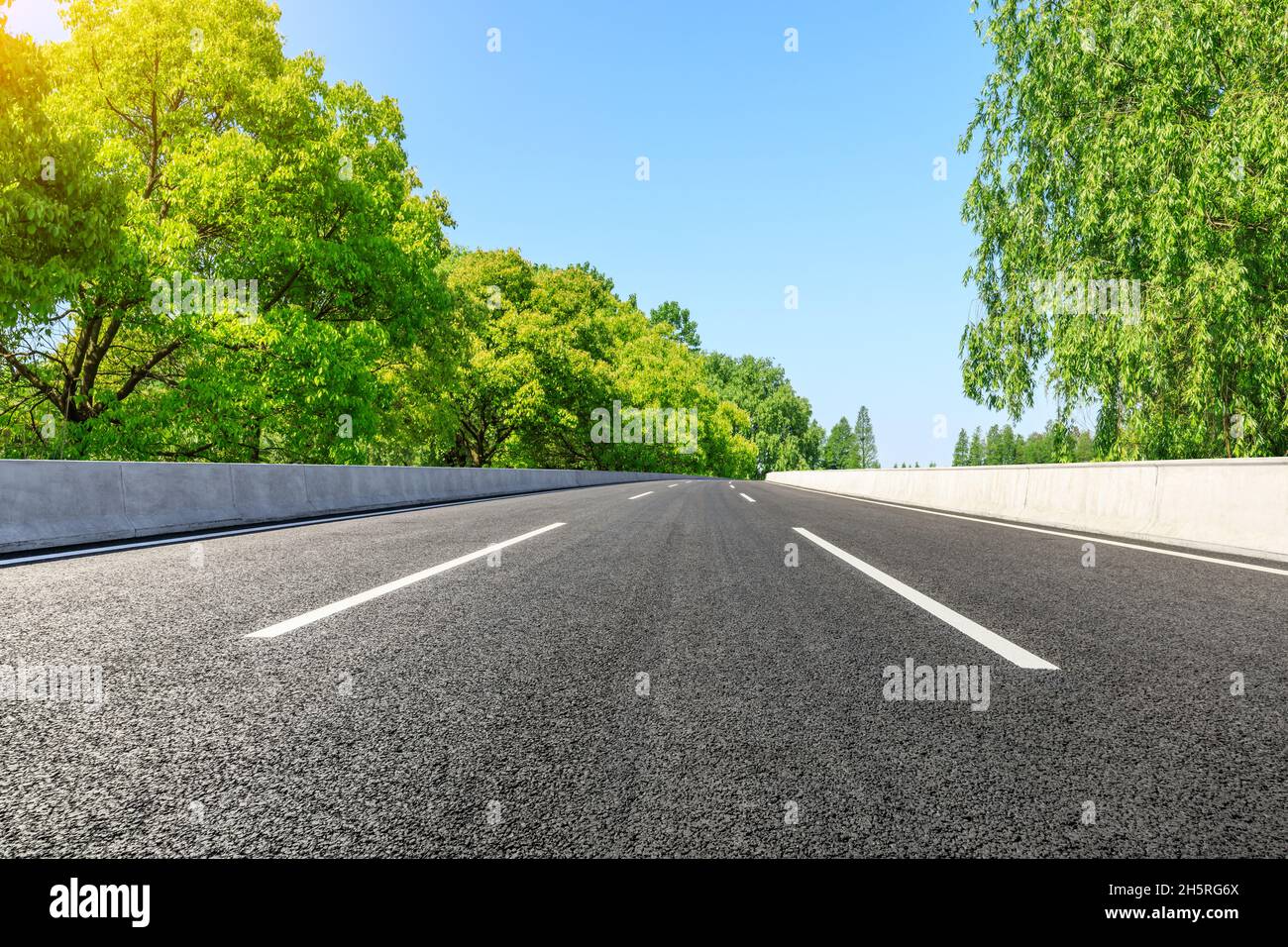 Asphalt roads and green forest background Stock Photo - Alamy