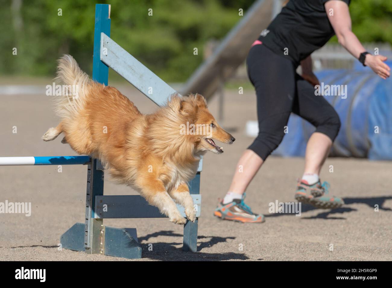 Hurdle bridge hi-res stock photography and images - Alamy