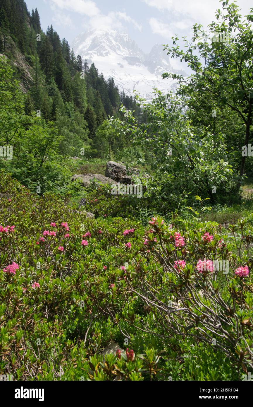 The montets pass hi-res stock photography and images - Alamy