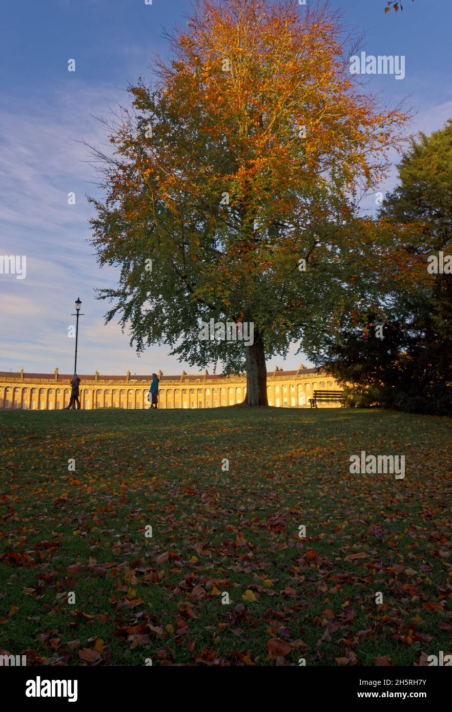autumn in bath Stock Photo - Alamy