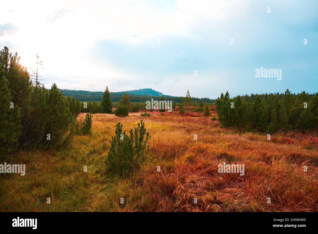 Sumava slat hi-res stock photography and images - Alamy