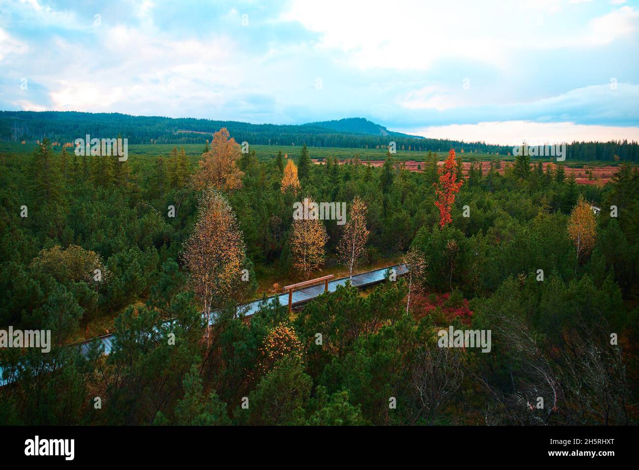 Sumava slat hi-res stock photography and images - Alamy