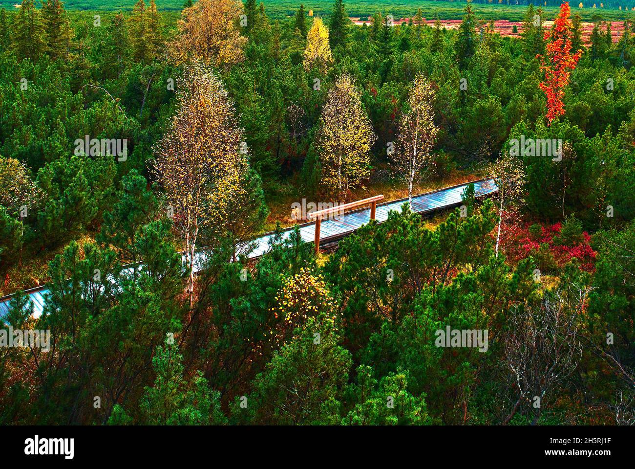 Sumava slat hi-res stock photography and images - Alamy