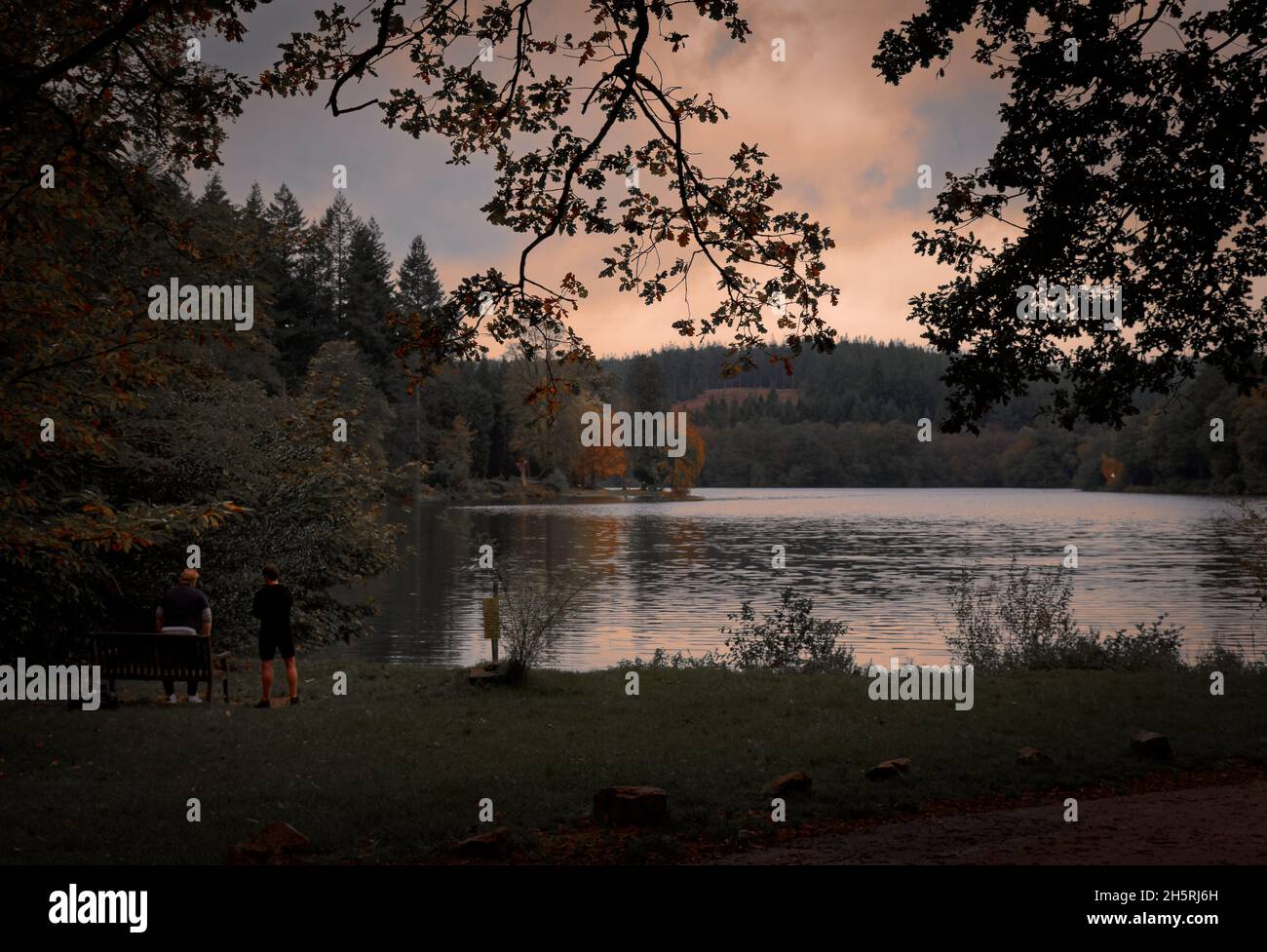 Autumn at Shearwater longleat Stock Photo - Alamy