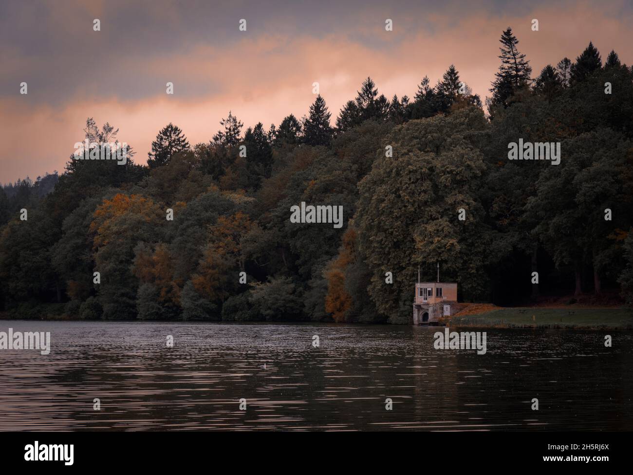 Autumn at Shearwater longleat Stock Photo - Alamy
